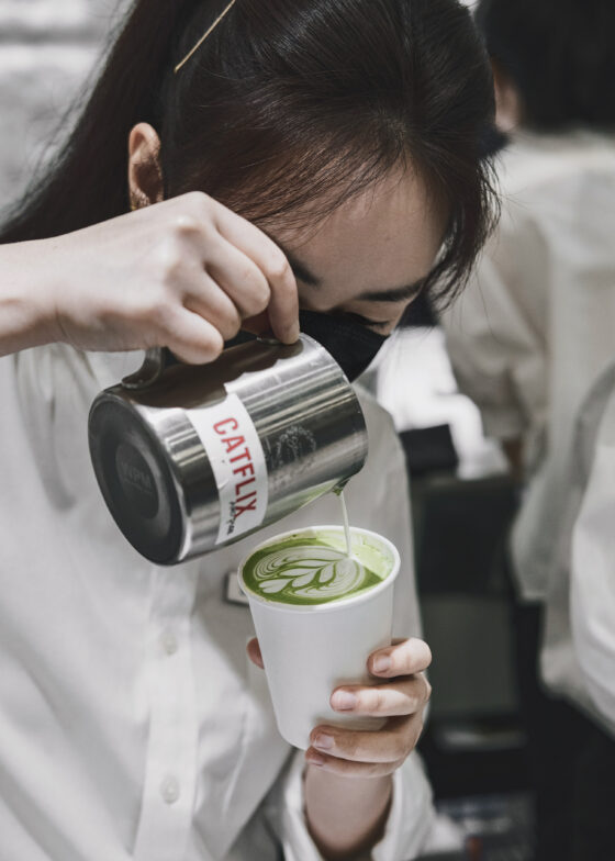 YURI / Matcha Powder - Niko Neko Matcha