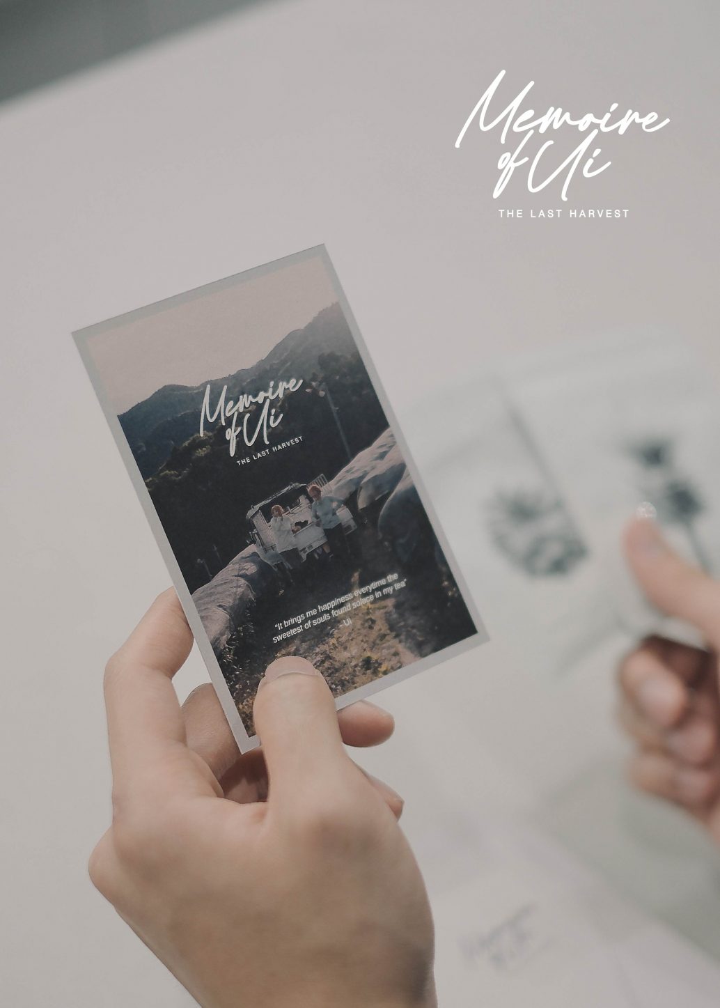 Memoire of Ui / Matcha Experience Set - Niko Neko Matcha