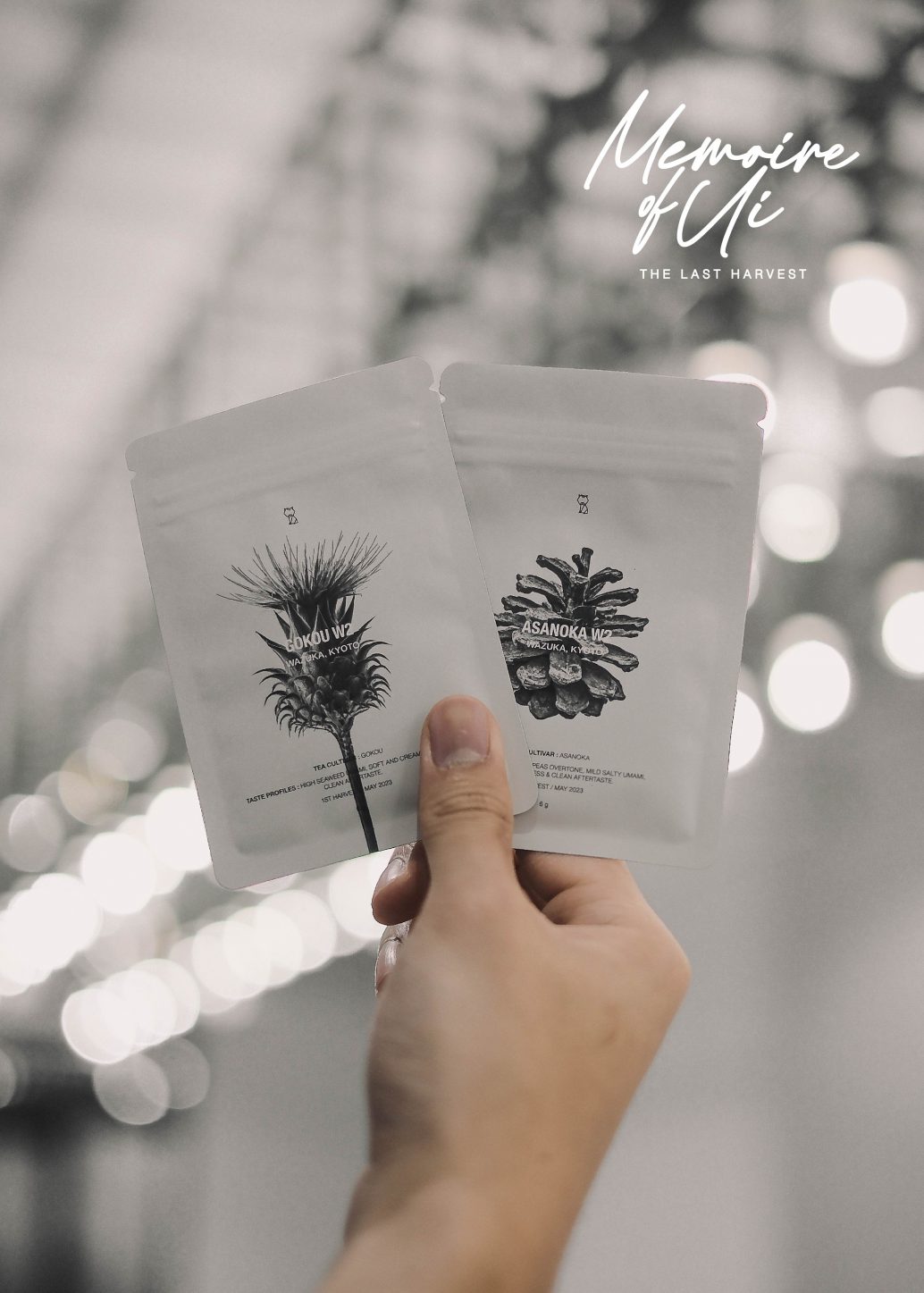 Memoire of Ui / Matcha Experience Set - Niko Neko Matcha